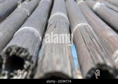 Dry trunks of reeds close-up. Roof flooring made of natural material ...