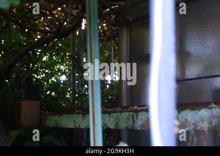 Iron Rust and Weeds - Late July Summer - Mie, Japan Stock Photo - Alamy