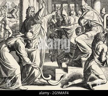 Exodus. The staff of Moses becomes a serpent in front of the pharaoh of ...