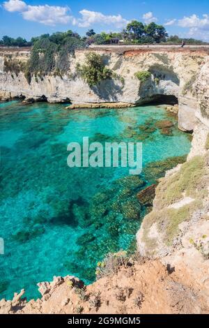 Green azure turquoise blue transparent sea salt water texture. Top view ...