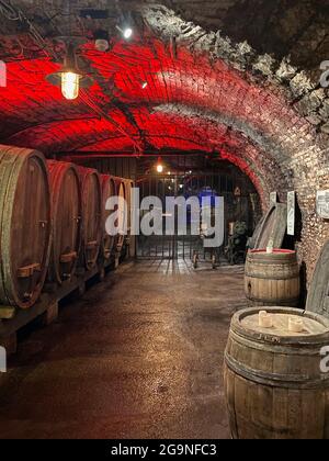 cellar of a winery, oak barrels, Germany, Rhineland-Palatinate ...
