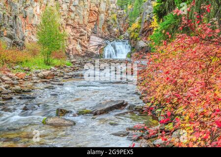 waterfall and fall colors along tenderfoot creek in the little belt ...