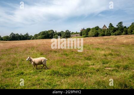 Battle, July 2021: The battlegrounds of Senlac Hill in Battle in East ...