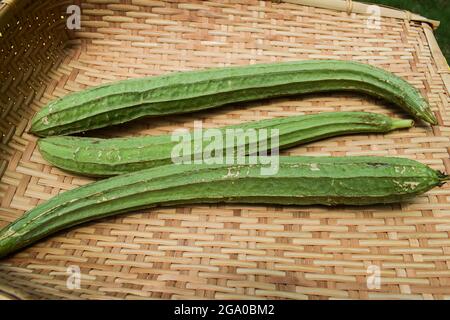Ridge gourd vegetables long and thin on yellow background. Indian or ...