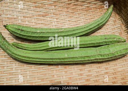 Ridge gourd vegetables long and thin on yellow background. Indian or ...