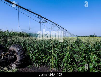 Irrigation system on the corn field Stock Photo - Alamy