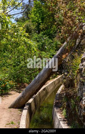 A Beautiful view of a Levada with flowers and plants in Madeira Stock ...