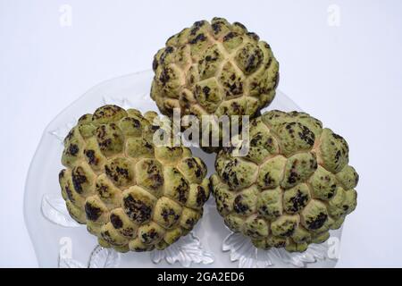 Fruit ; sharifa or sitaphal ; custard apple ; India Stock Photo - Alamy