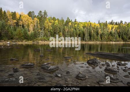 thunder bay, ontario, canada; reflections in a pond surrounded by ...