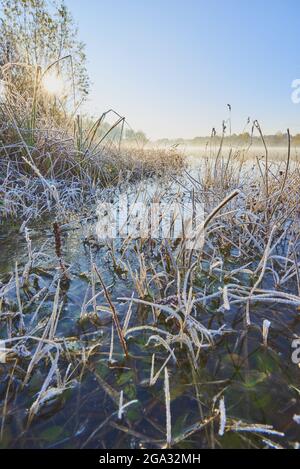 Sunrise at a frozen reservoir lake at Rettenbach in the Bavarian Forest ...