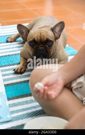 Beautiful toddler sitting on the floor playing with small colorful ...