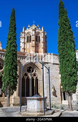 Cloister of Santa Maria del Camp with trilobed arches and palm trees at ...