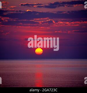 Sun rising over pacific ocean behind eucalyptus forest. Queensland ...