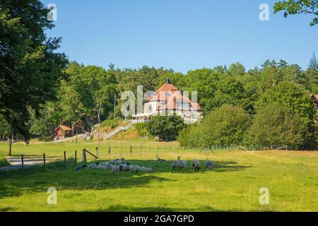 Grinda, Stockholm archipelago Stock Photo - Alamy