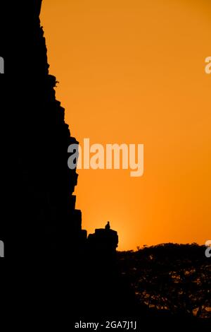 Bird stand on Pimai ancient city in north of Thailand at sunset Stock ...