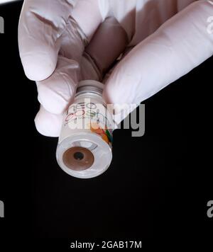 Vision Contact Lenses. Bottle with lens solution and case on wood table ...