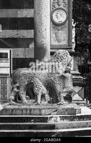 Greyscale shot of monuments in Bergamo, Italy Stock Photo - Alamy