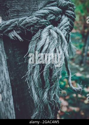Vertical shot of a wooden log with rope by the sea Stock Photo - Alamy