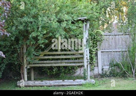 Overgrown rustic wooden bench seat covered in brambles and other wild plants Stock Photo - Alamy