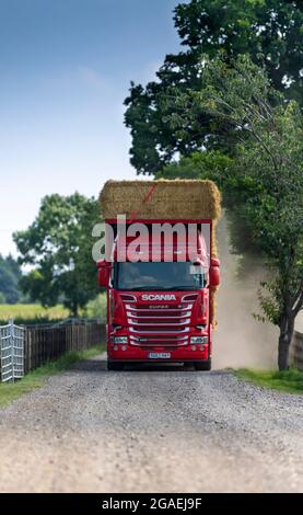 Lorry with load of straw on coming down a dusty farm track, Yorkshire ...