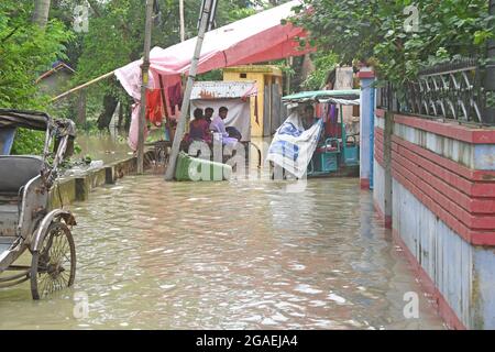 Burdwan, West Bengal / India : In Burdwan civic town areas uncountable ...