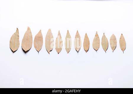 Leaf Spice arranged in descending order according to size, Talal patra ...