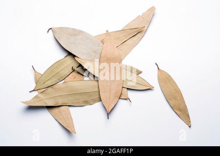 Leaf Spice arranged in descending order according to size, Talal patra ...