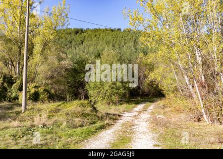 Autumn view of Nishava river gorge, Balkan Mountains, Bulgaria Stock ...