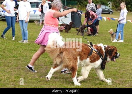 Kesgrave, Suffolk - 31 July 2021; Fun Day at Millennium Field. Bounce ...