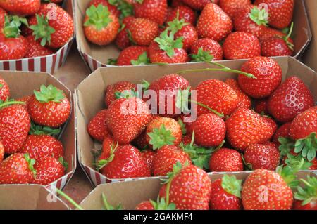 Kastrup/ Denmark. 31 July 2021, Danish checken eggs from danish poultry ...