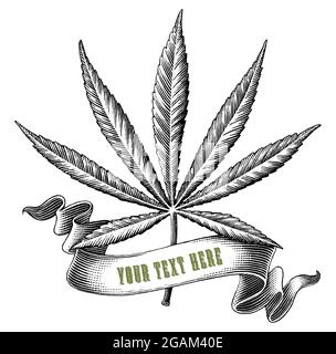 Illustration of Scratchboard Engraved Cannabis Leaf isolated on a Beige ...
