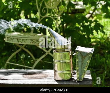 Beekeeper, bee bellows and fire to smoke in closeup at apiary in ...