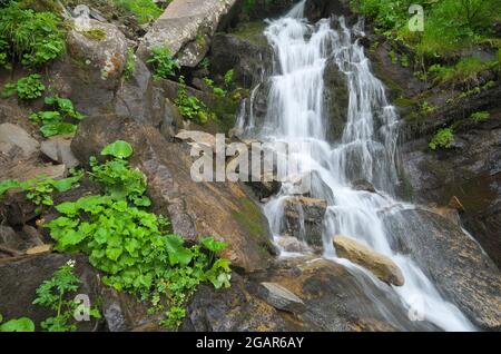 Spring rill flow in mountain. Nature composition Stock Photo - Alamy