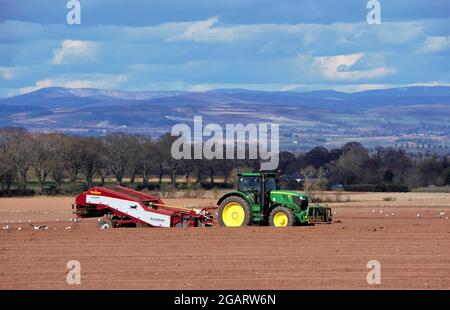 Tractor destoning and planting potatoes, Perthshire, Scotland - potato ...