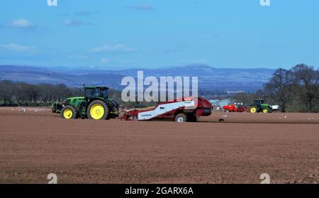 Tractor destoning and planting potatoes, Perthshire, Scotland - potato ...