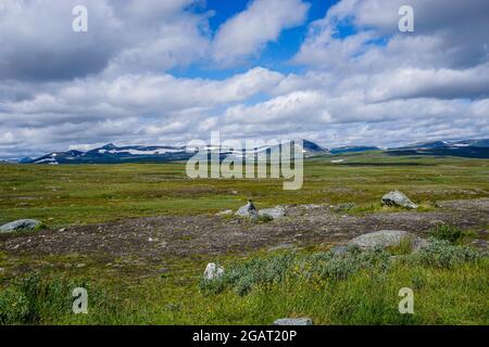 A view of the wild tundra landscape of the Stekenkokk plateau in ...