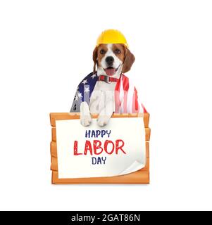 Happy Labor Day. Cute dog with sunglasses and American flag on white ...