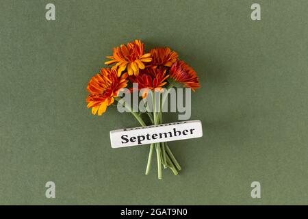 hello september. autumn card with fresh red apples on white background ...