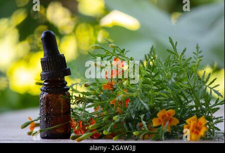 marigold oil essential oils, nature. Selective focus Stock Photo - Alamy