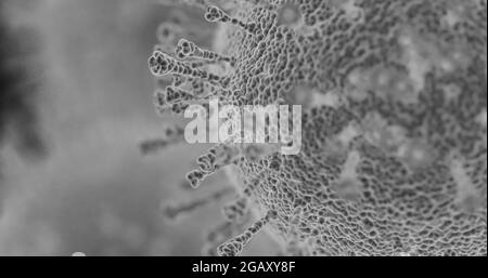 3d simulation of corona virus. Artistic rendering of electron ...