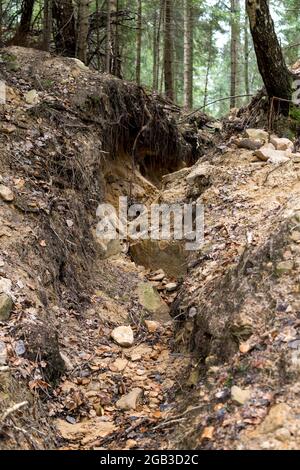 small empty valley of a seasonal stream inside of a forest Stock Photo ...