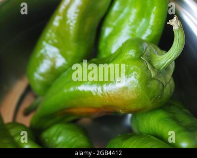 green peppers (scientific name Capsicum aka bell peppers) vegetables ...
