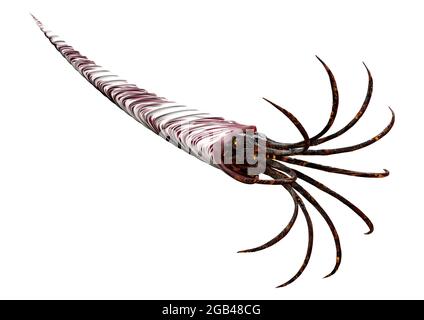 3D rendering of a Baculites, extinct shelled cephalopod animal isolated ...