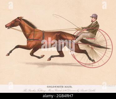 Goldsmith Maid (1857 – September 23, 1885) was a prominent Standardbred ...