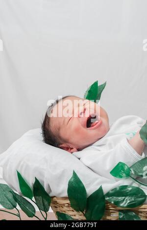Body back of a newborn in the hands of parents. Newborn baby body back ...