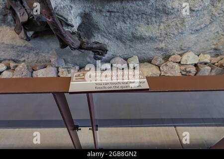 Quarry Exhibit Hall dinosaur bones, Dinosaur National Monument, Utah ...