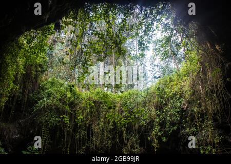Cave system in the Virunga National Park, Rwanda, Africa Stock Photo - Alamy