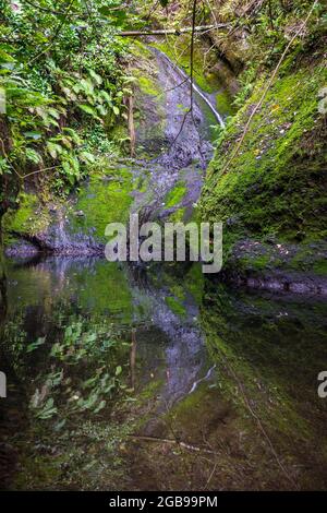 Wigmore's Waterfall (Papua Waterfall), Rarotonga, Rarotonga and the ...