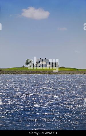 On the tiny island of Hallig Hooge in North Frisia's wadden sea, all ...