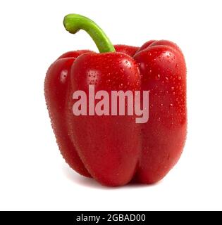 Red bell pepper in dew drops isolated on white background Stock Photo ...